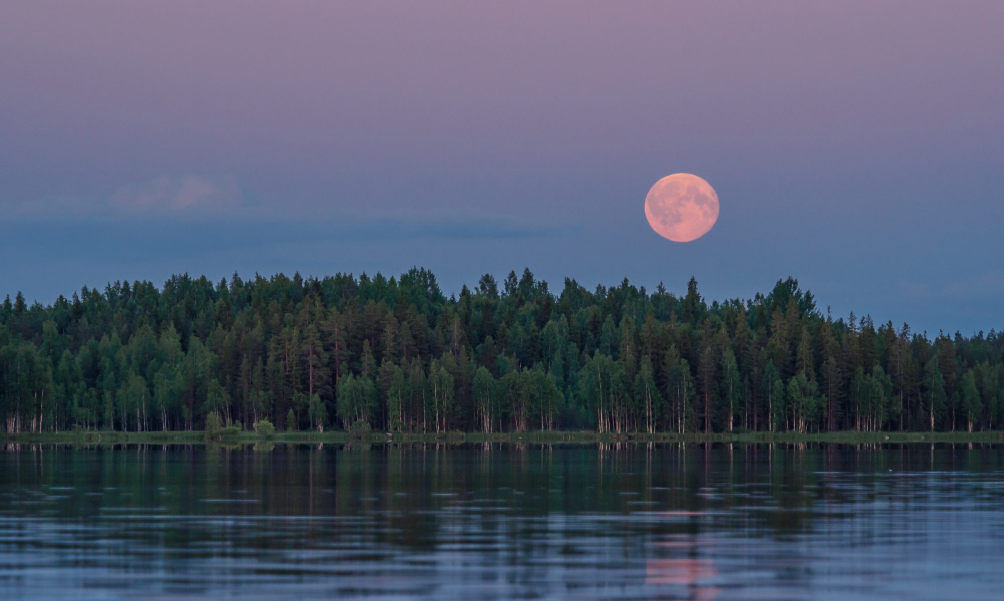 LunaWriting – Community, support, and mutual accountability for faculty ...